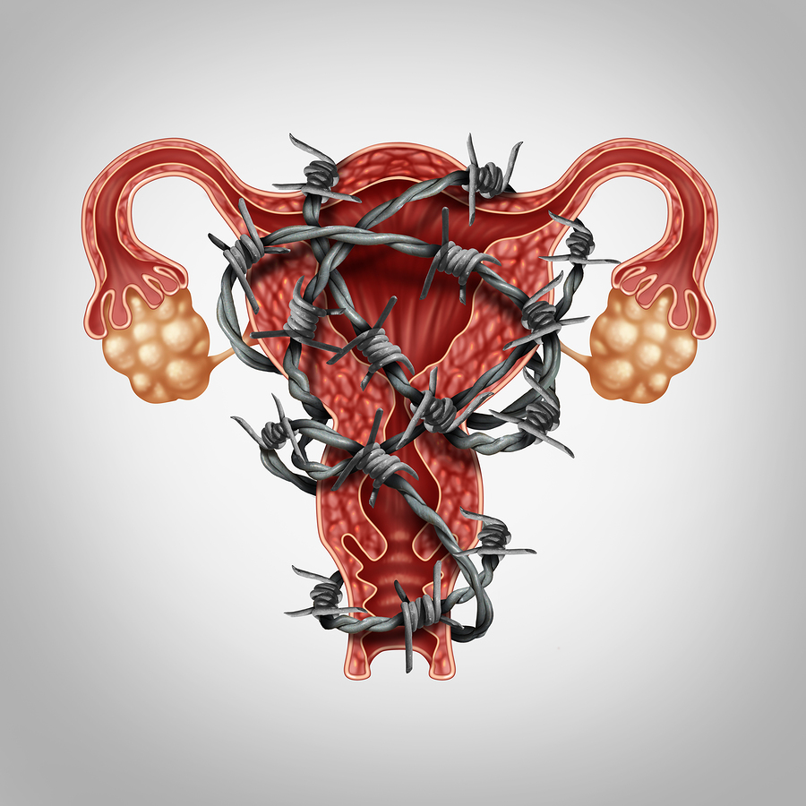 Uterus Pain - Wholehealthweb